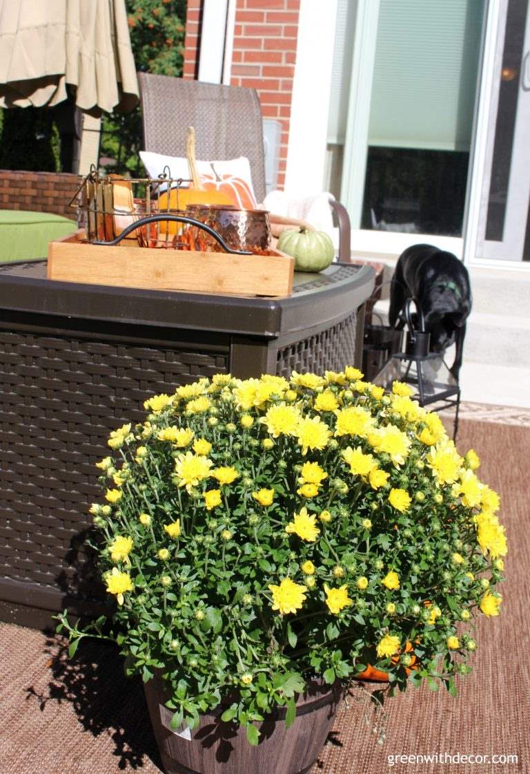 Fall patio ideas + outdoor tour – Green With Decor
